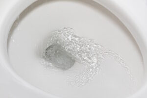 Why Does My Toilet Whistle? Toilet Whistling Causes - Beacher E. McNeal ...